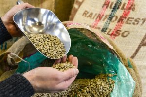 Barista glossary: your guide to coffee terminology | The Barista