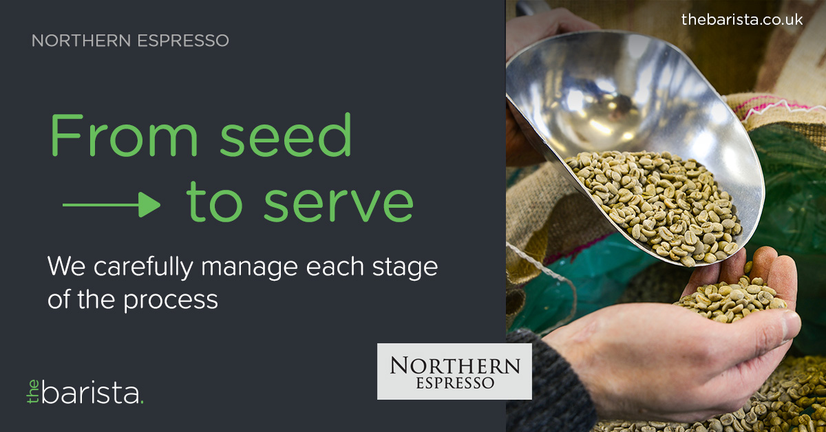 From seed to serve: how we create our signature blend | The Barista